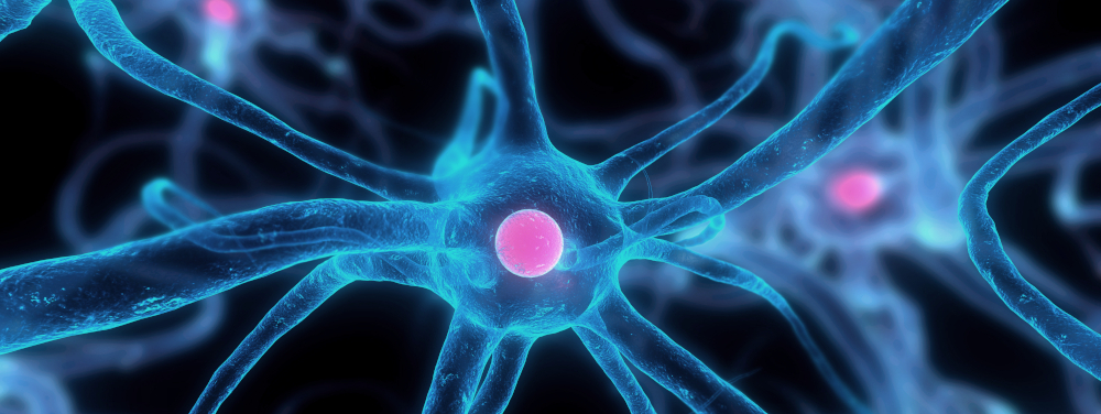 synapse_3_1000_by_376 – ARC Centre of Excellence in Cognition and its ...